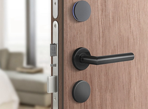 Deadbolt Vs Deadlatch: What Are The Key Differences | Betechiot