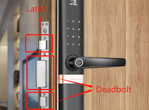 Deadbolt Vs Deadlatch: What Are The Key Differences | Betechiot